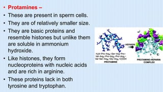 Biochem of proteins.pptx