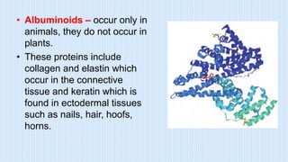 Biochem of proteins.pptx