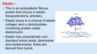 Biochem of proteins.pptx