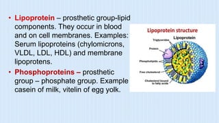 Biochem of proteins.pptx