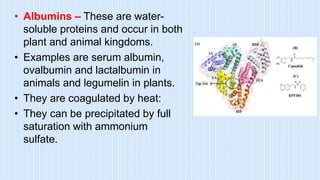 Biochem of proteins.pptx