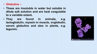 Biochem of proteins.pptx