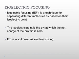 ISOELECTRIC FOCUSING | PPTX