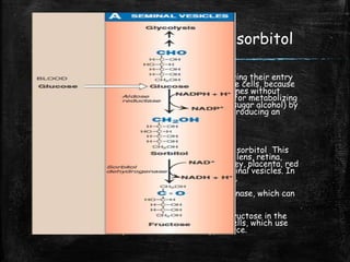 biochemistry slides for mbbs on metabolism of mono saccherides | PPTX