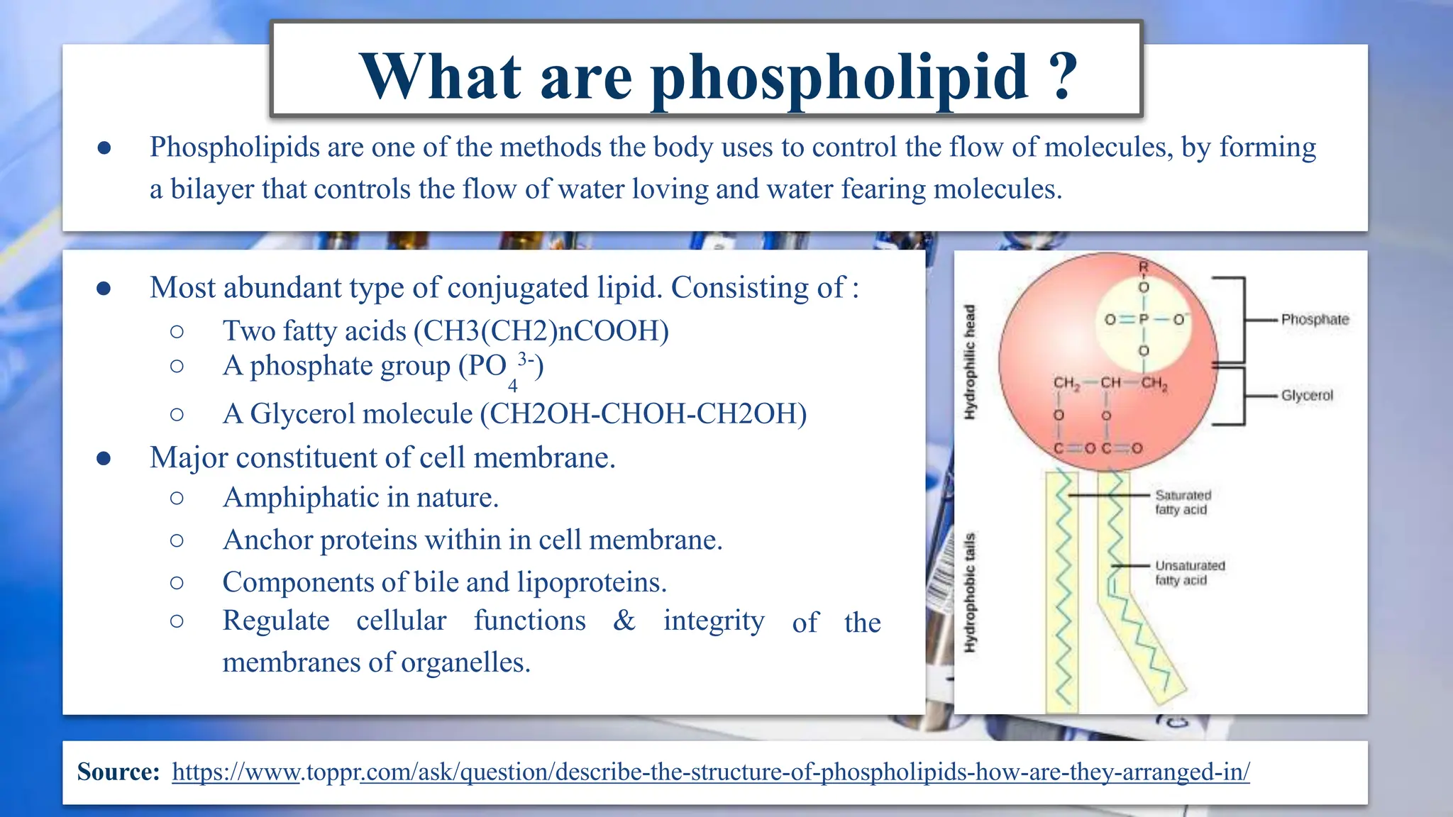 Biochem PPT final.pptx bioorganic chemistry | PPTX