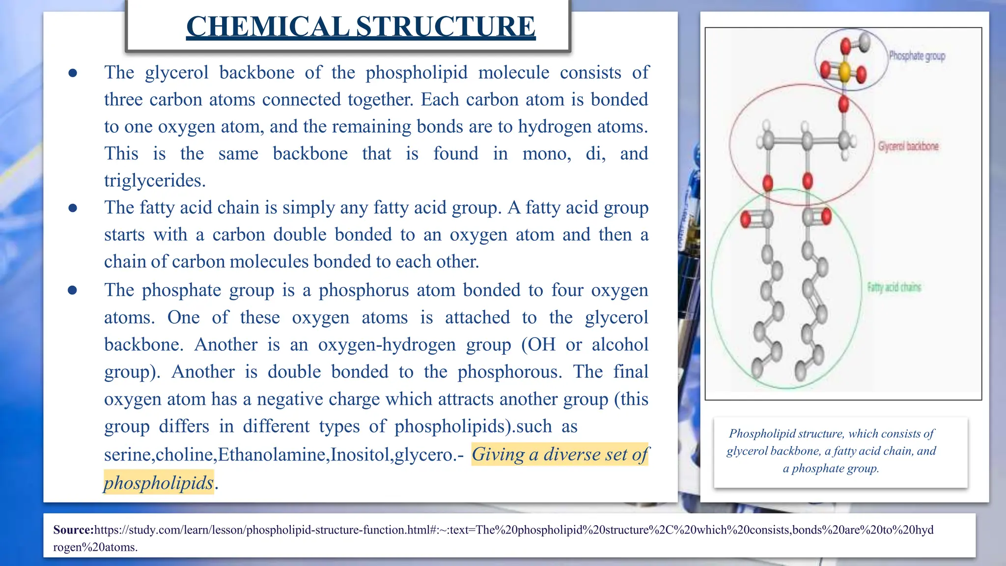 Biochem PPT final.pptx bioorganic chemistry | PPTX