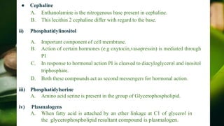 Biochem PPT final.pptx bioorganic chemistry | PPTX