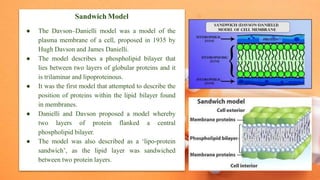 Biochem PPT final.pptx bioorganic chemistry | PPTX