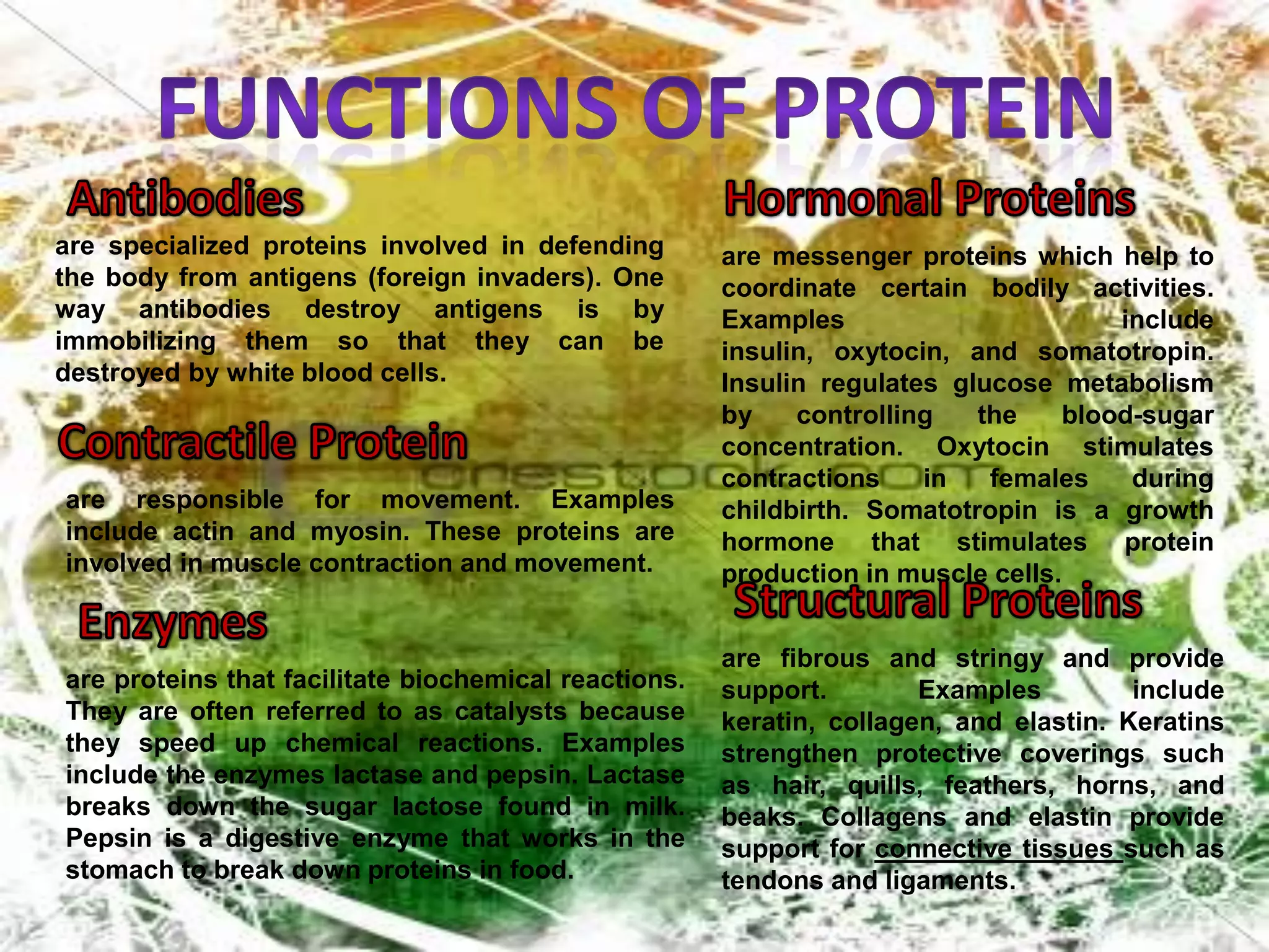 Protein | PPTX