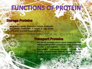 Protein | PPTX