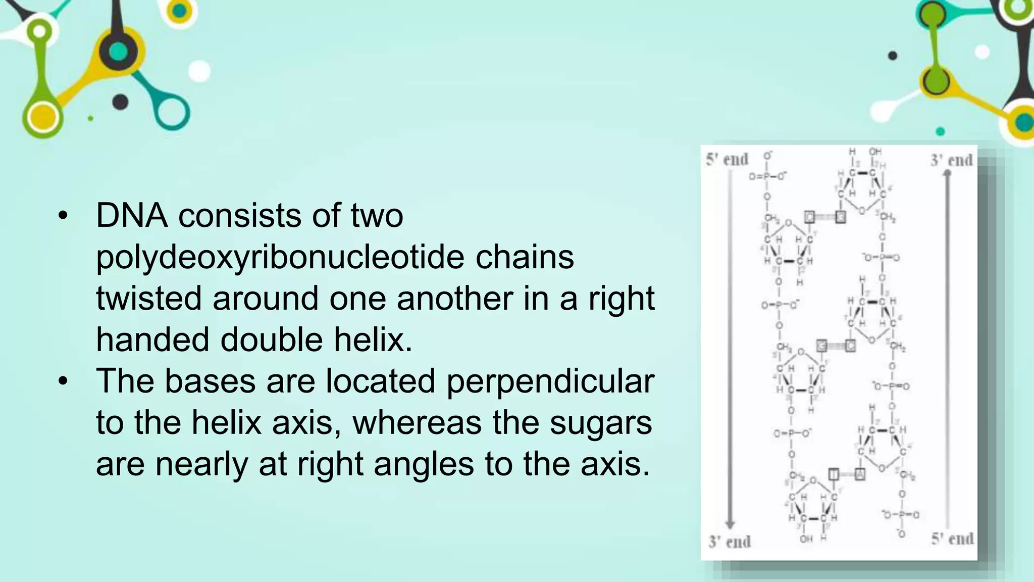 Nucleic Acids Biochemistry (DNA & RNA) | PPTX