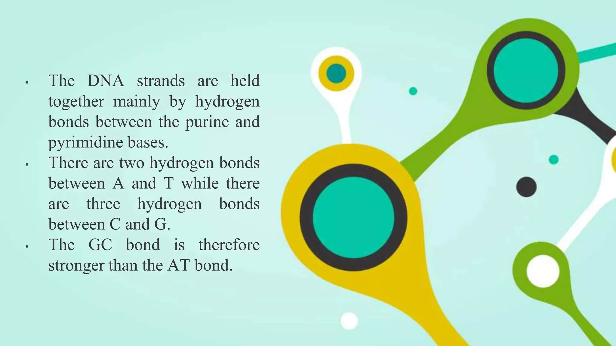 Nucleic Acids Biochemistry (DNA & RNA) | PPTX