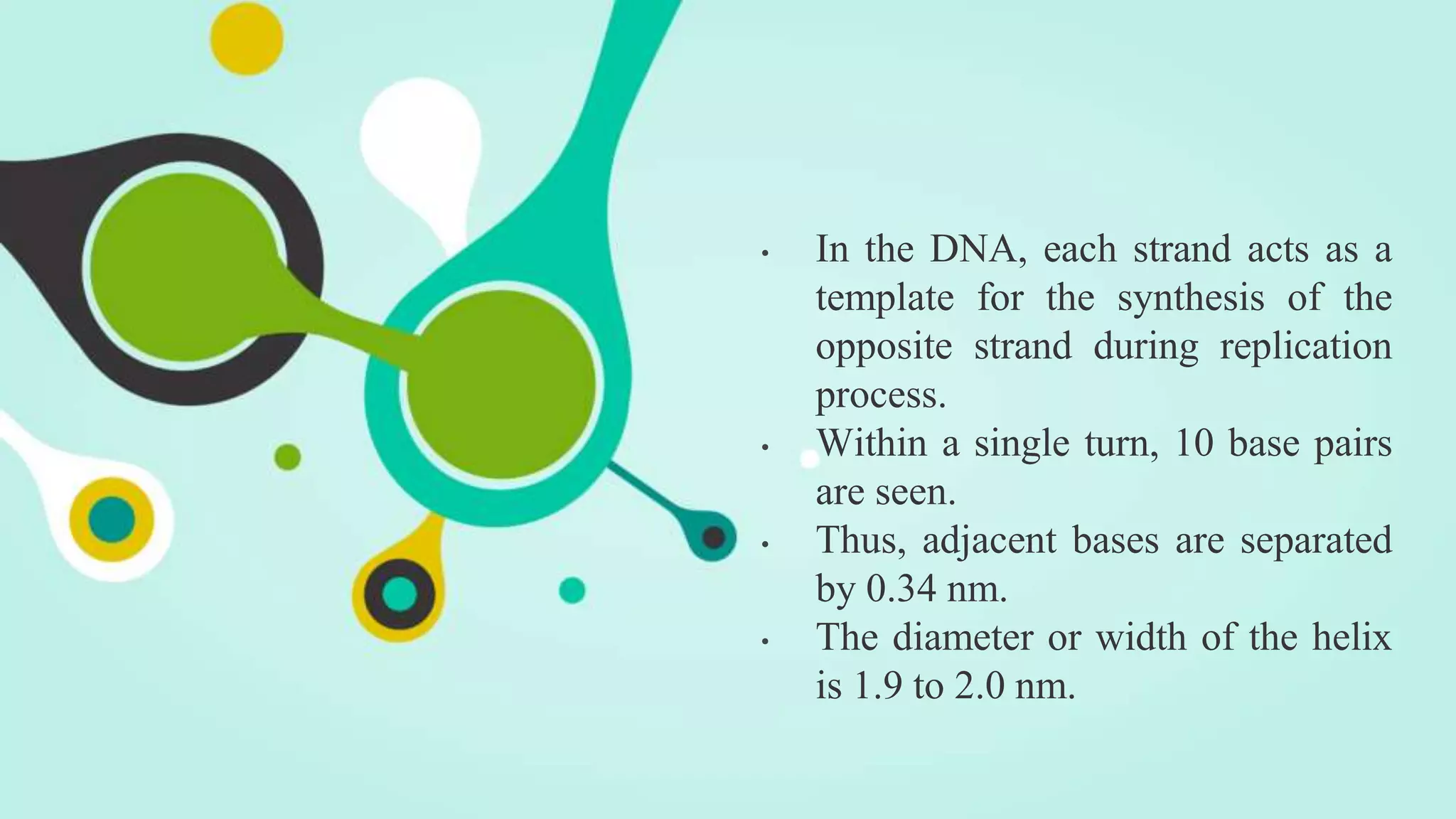 Nucleic Acids Biochemistry (DNA & RNA) | PPTX