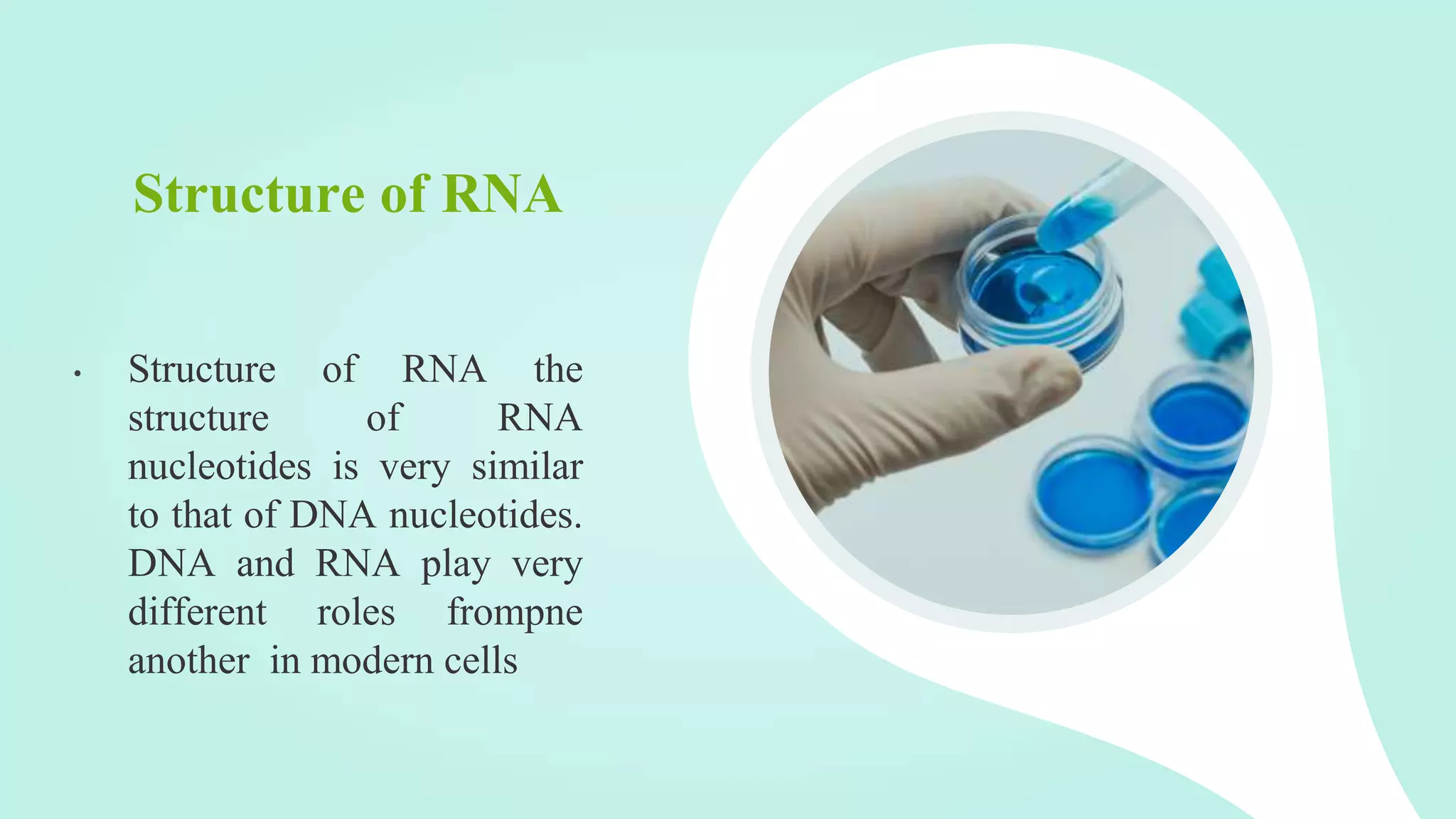 Nucleic Acids Biochemistry (DNA & RNA) | PPTX