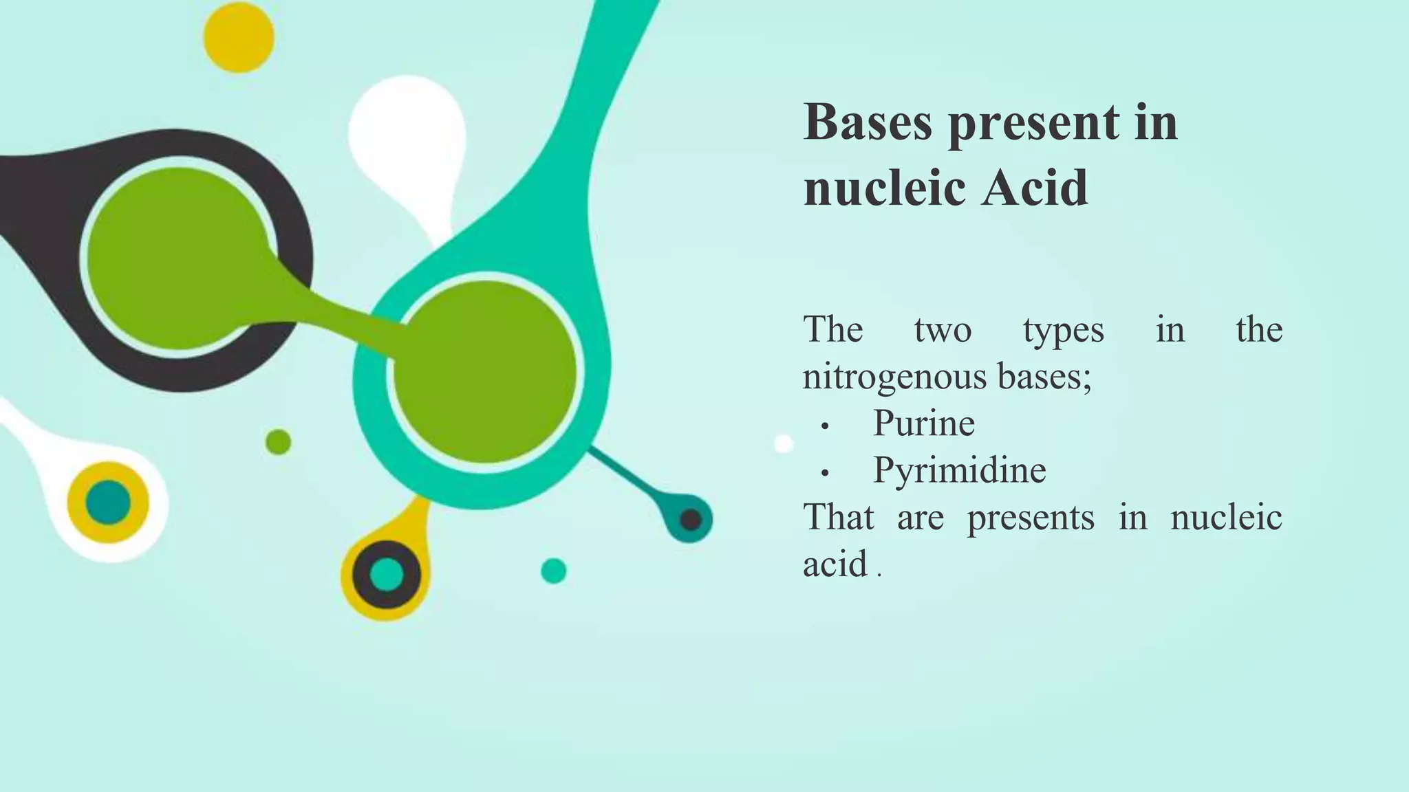 Nucleic Acids Biochemistry (DNA & RNA) | PPTX | Chemistry | Science