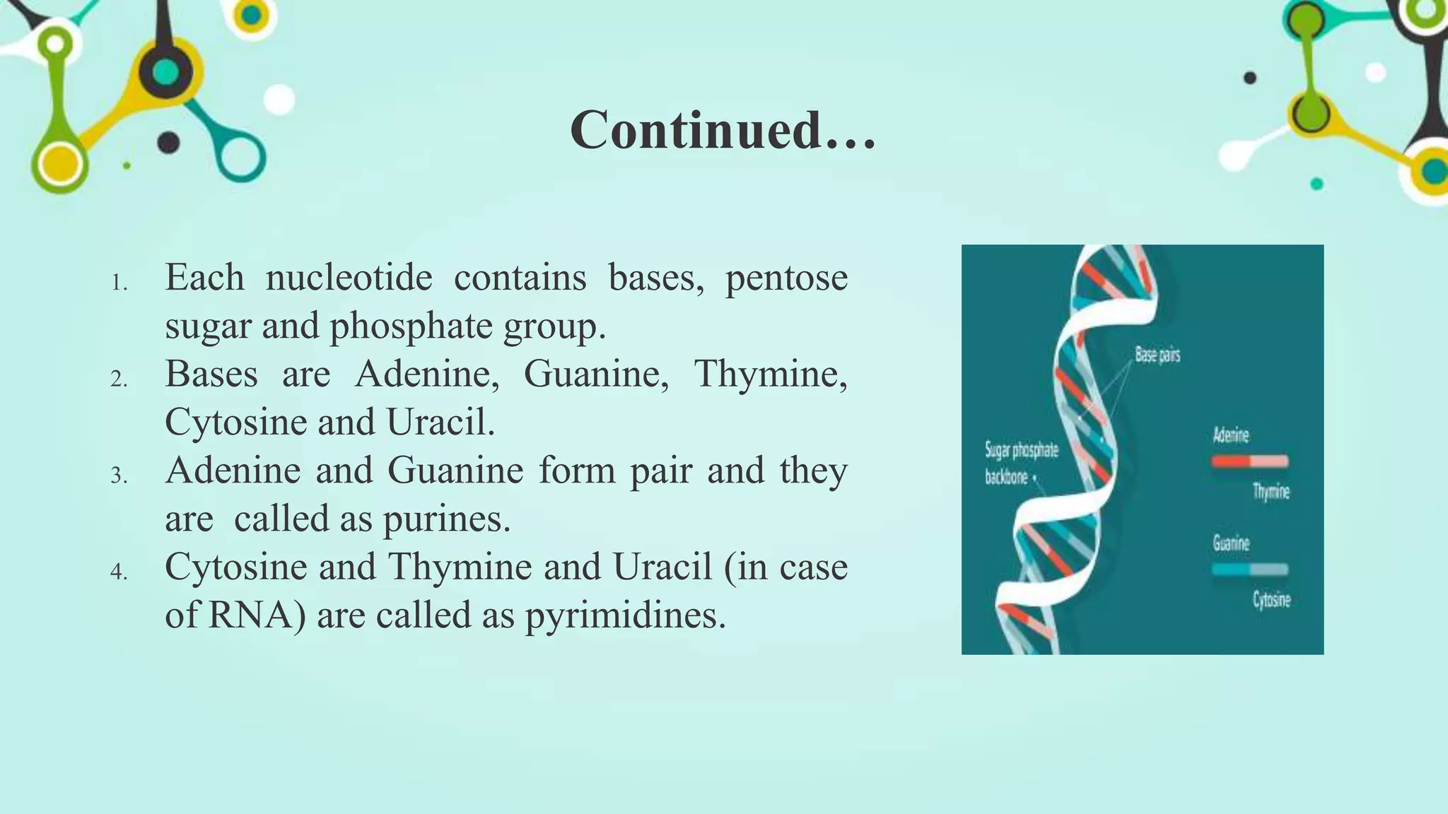 Nucleic Acids Biochemistry (DNA & RNA) | PPTX
