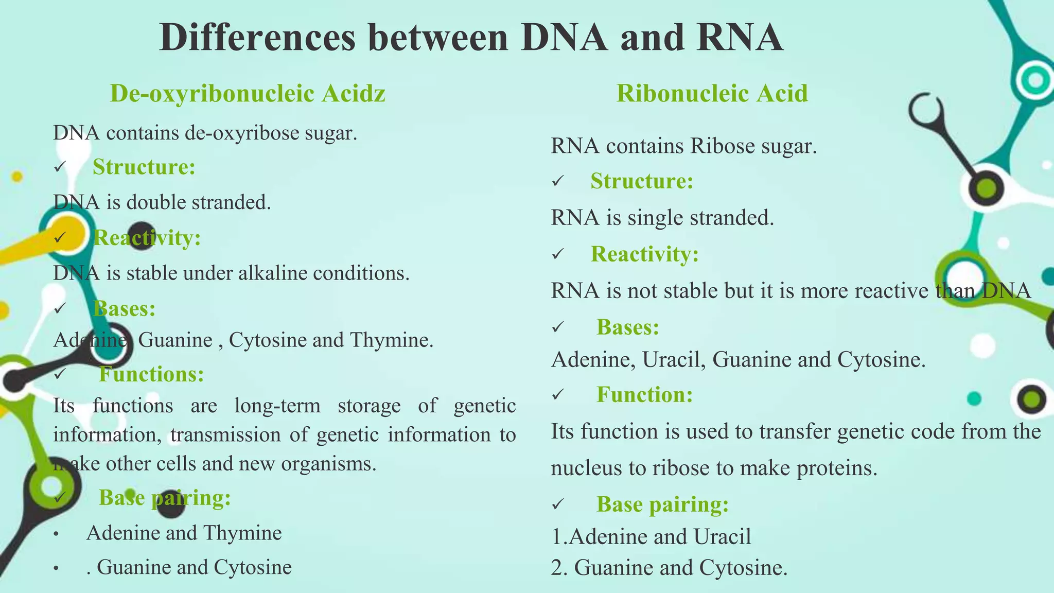 Nucleic Acids Biochemistry (DNA & RNA) | PPTX