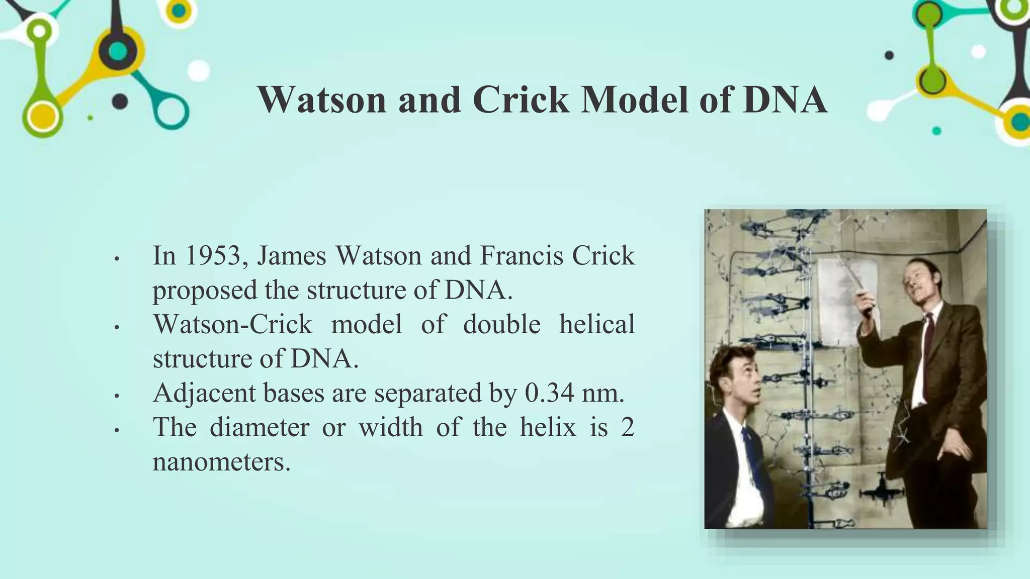 Nucleic Acids Biochemistry (DNA & RNA) | PPTX