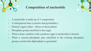 Nucleic Acids Biochemistry (DNA & RNA) | PPTX