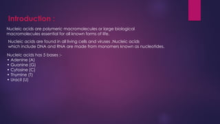 An Overview of Nucleic Acids (DNA & RNA) and Fundamentals of ...