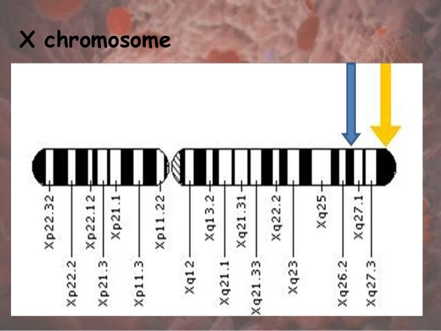 Bio chem presentation on hemophilia
