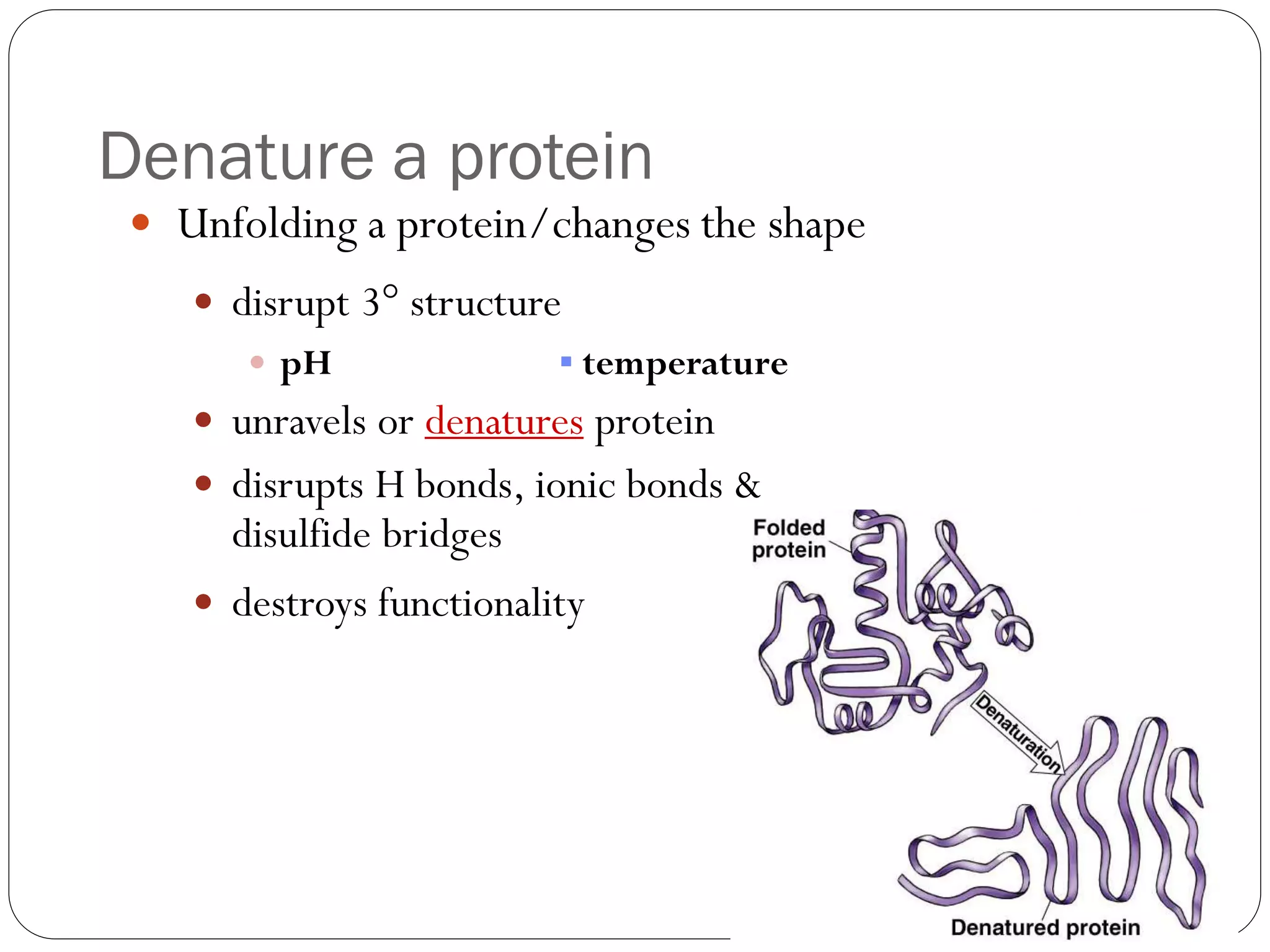 Biochem PROTEINS.pdf