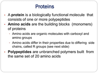 Biochem PROTEINS.pdf