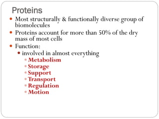 Biochem PROTEINS.pdf