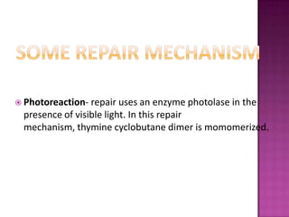 Biochem report | PPT