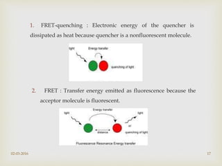 Fluorophore Based Chemistries Used In Various Molecular Techniques | PPT