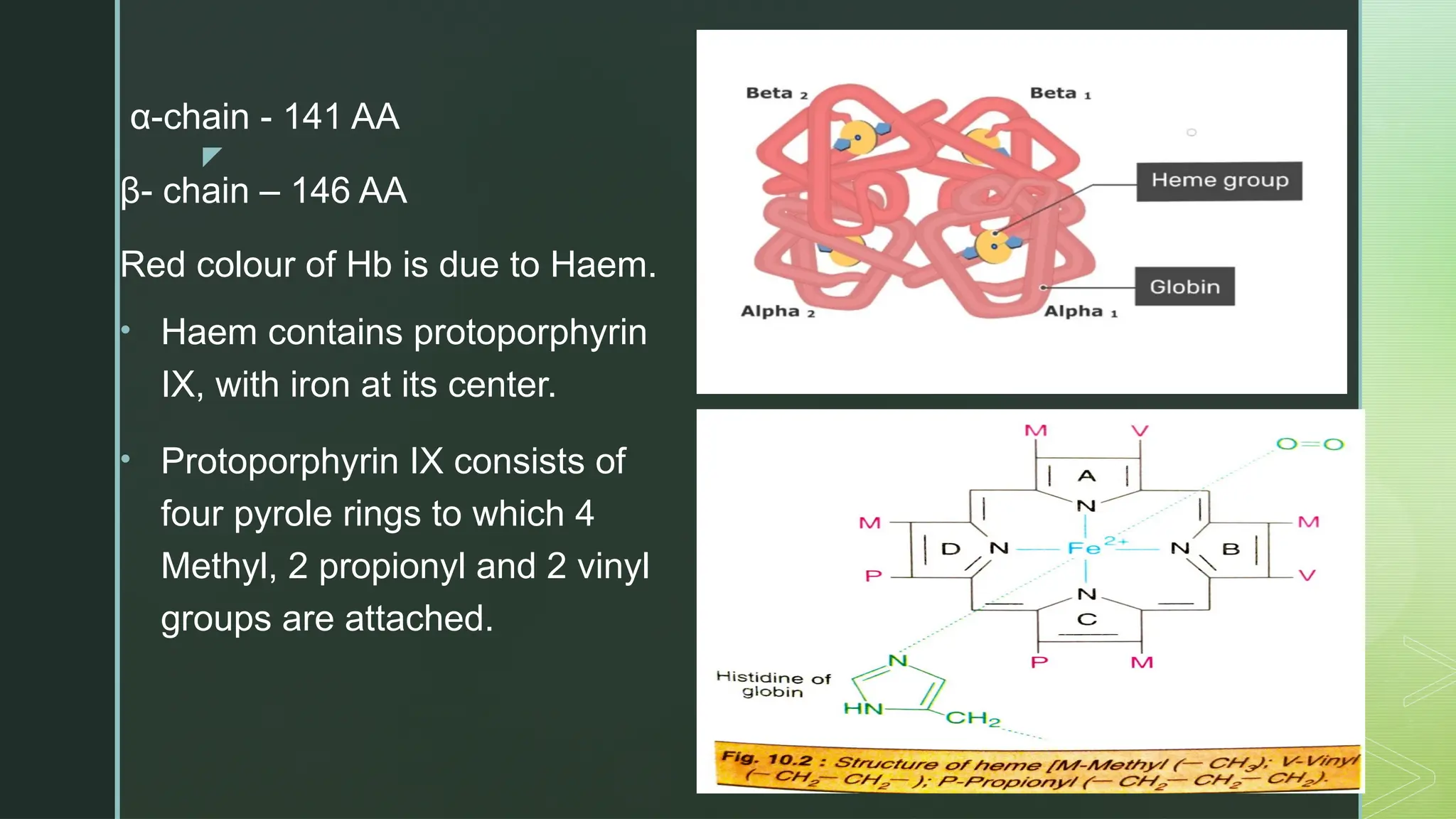 Biochem Seminar on Hemoglobin and it's derivatives and ...