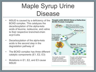 Maple Syrup Urine Disease | PPTX