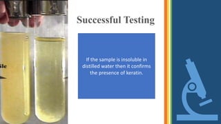Detection Of Proteins Test | PPTX