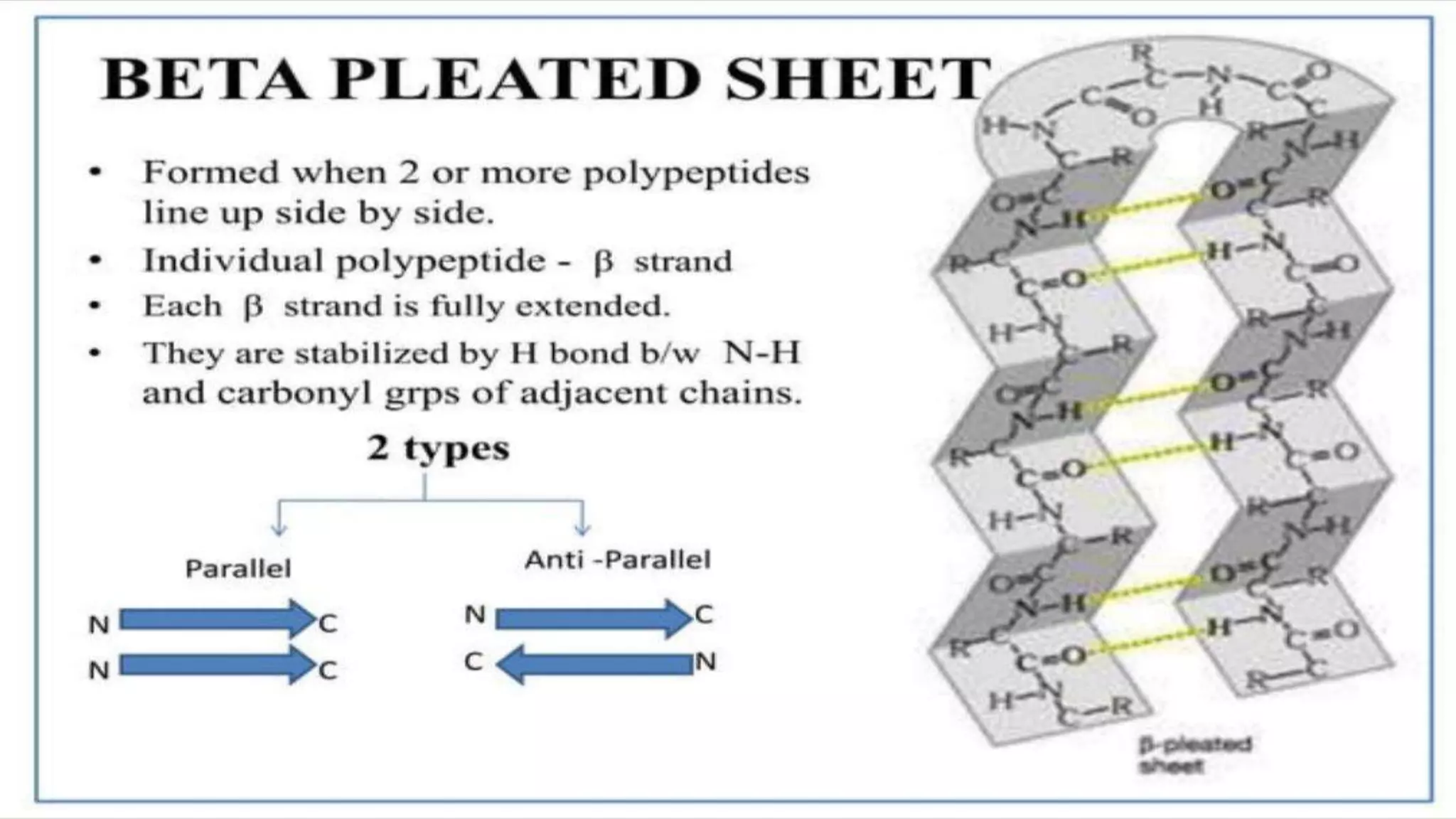 Biochem, topic 2 proteins, its structures and functions.pptx