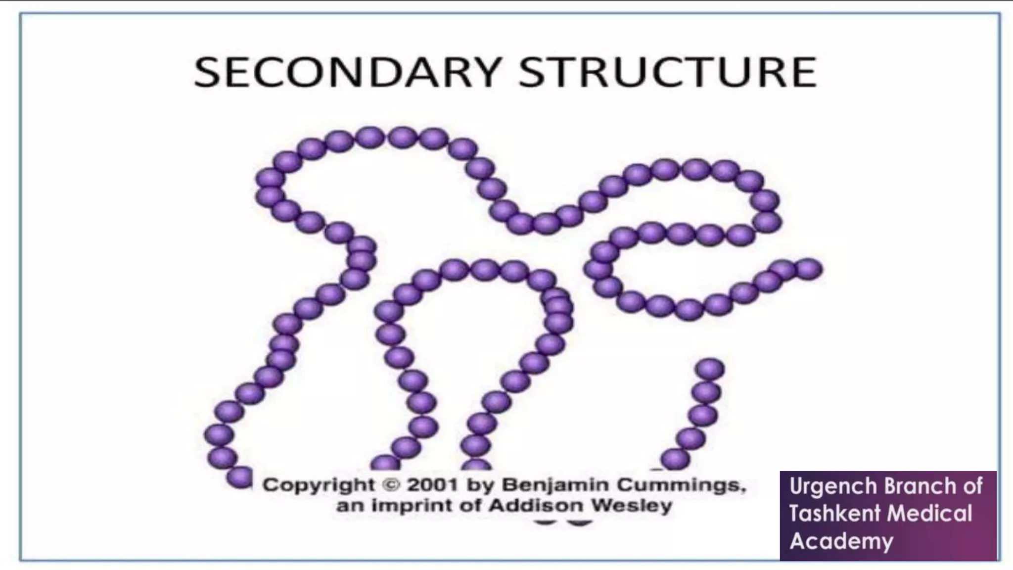 Biochem, topic 2 proteins, its structures and functions.pptx