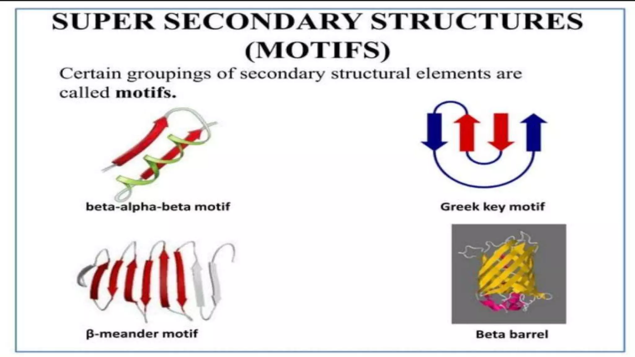 Biochem, topic 2 proteins, its structures and functions.pptx
