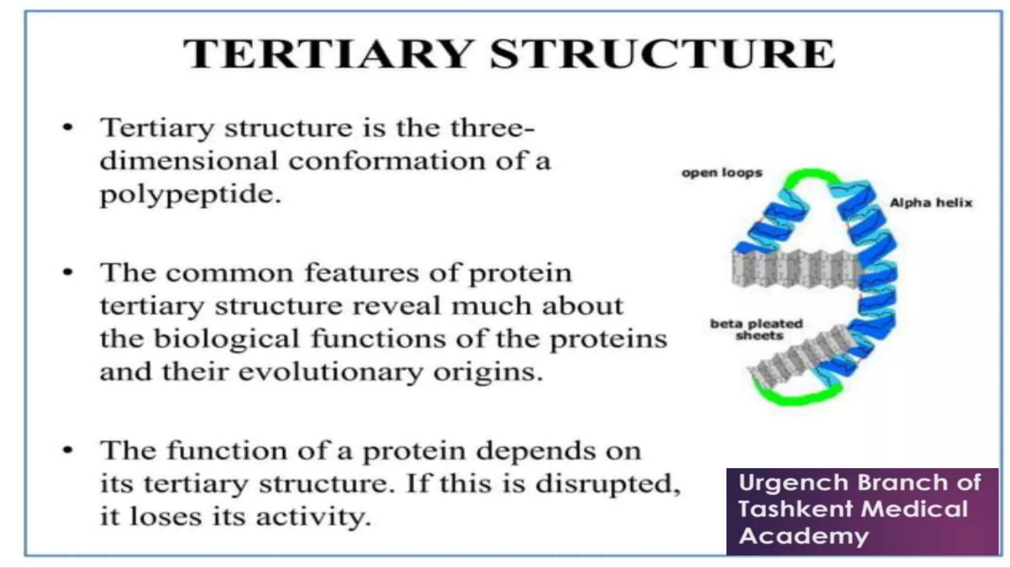 Biochem, topic 2 proteins, its structures and functions.pptx