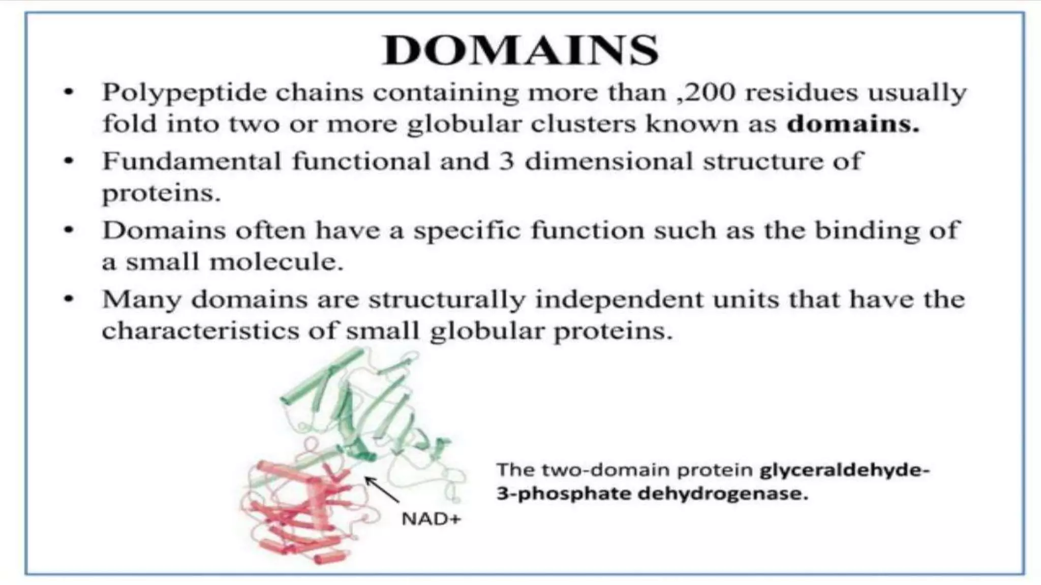 Biochem, topic 2 proteins, its structures and functions.pptx