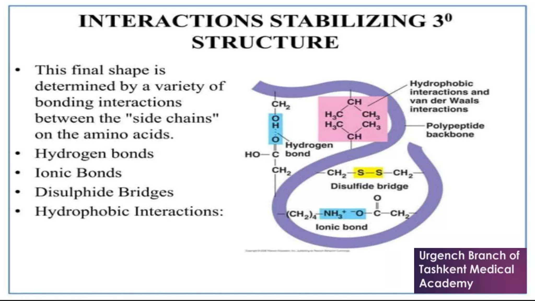 Biochem, topic 2 proteins, its structures and functions.pptx