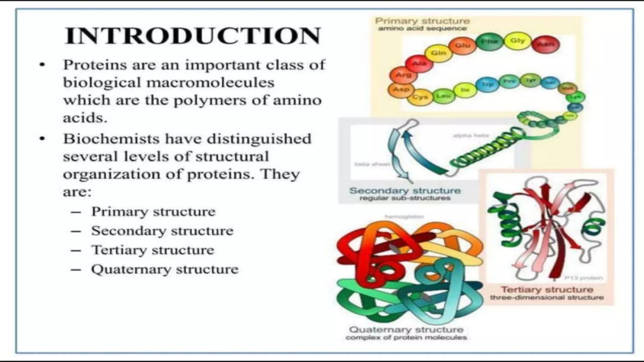 Biochem, topic 2 proteins, its structures and functions.pptx