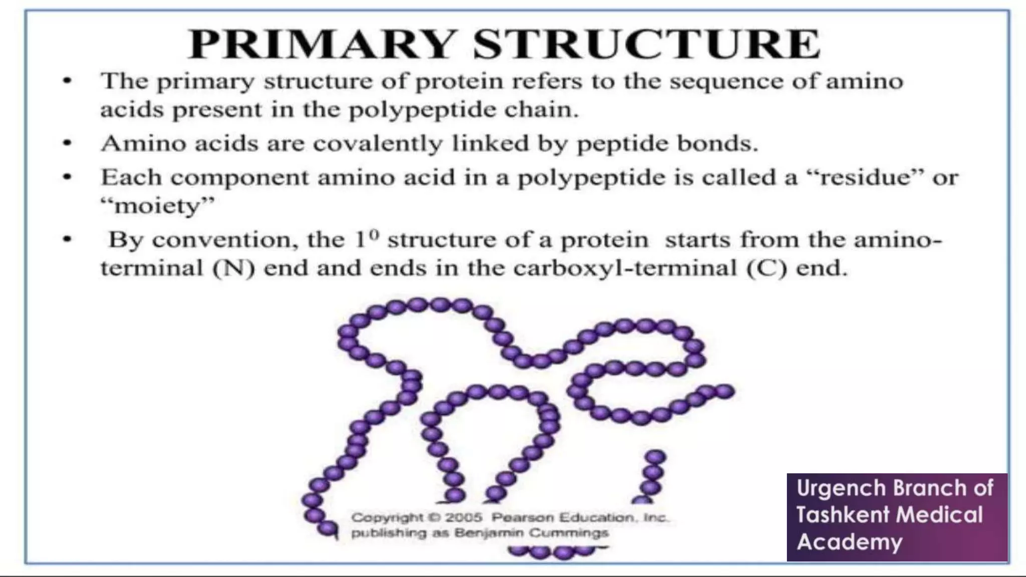 Biochem, topic 2 proteins, its structures and functions.pptx