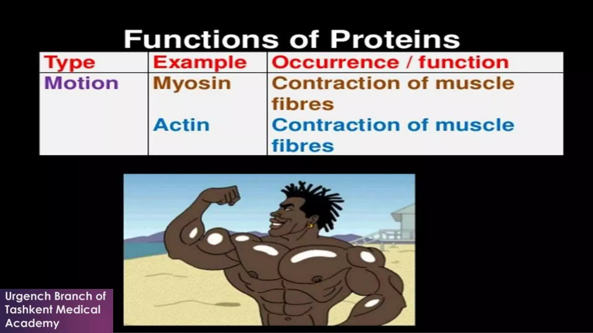 Biochem, topic 2 proteins, its structures and functions.pptx