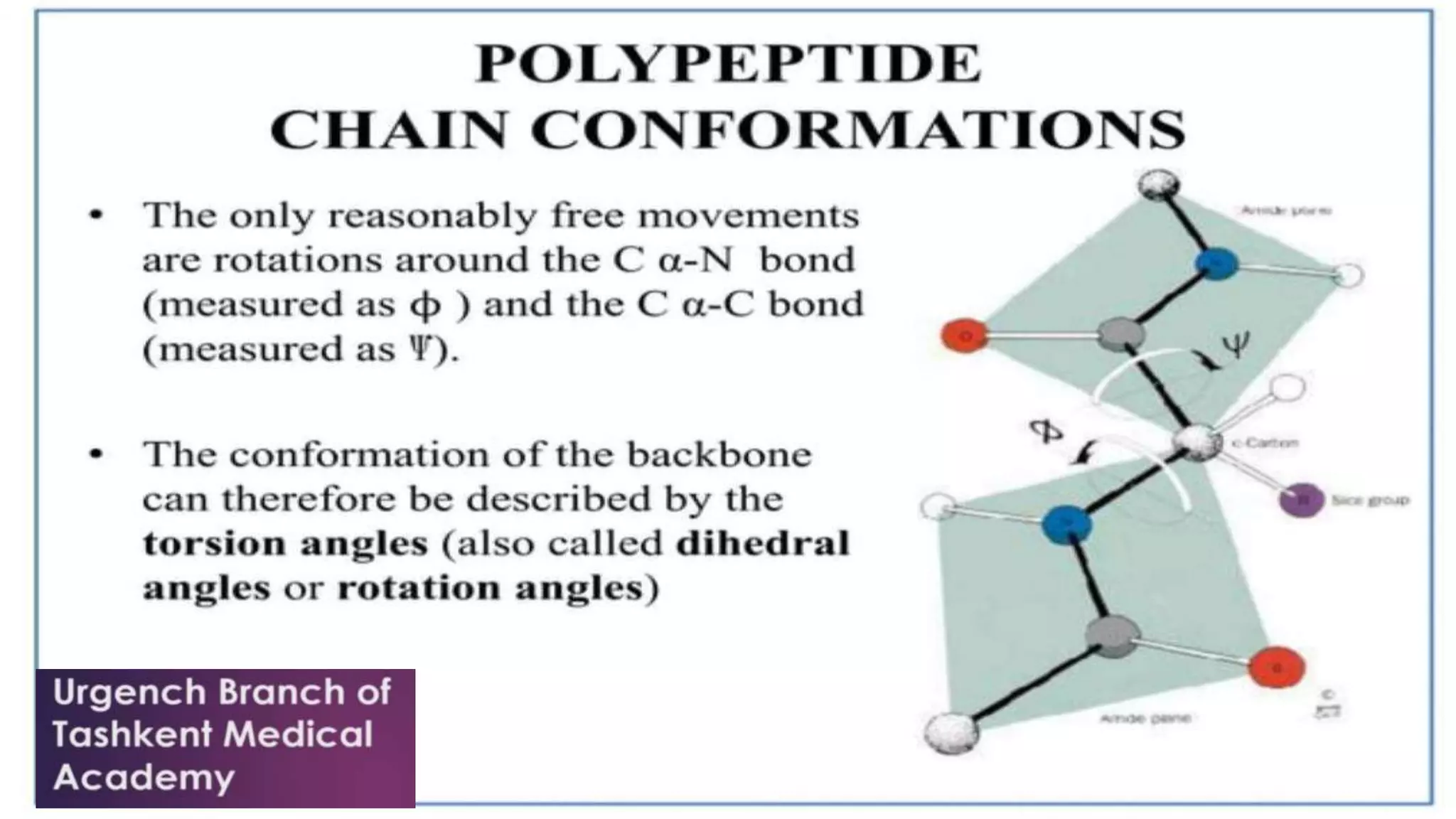 Biochem, topic 2 proteins, its structures and functions.pptx