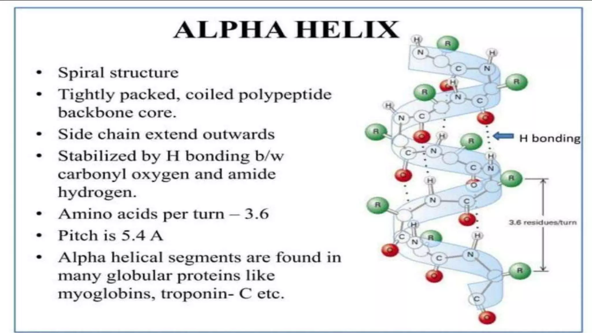 Biochem, topic 2 proteins, its structures and functions.pptx