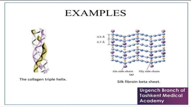 Biochem, topic 2 proteins, its structures and functions.pptx
