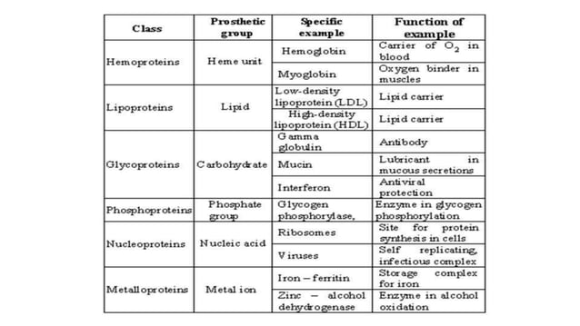 Biochem, topic 2 proteins, its structures and functions.pptx