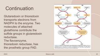 BIOCHEM WEEK8 2 (1).pptx