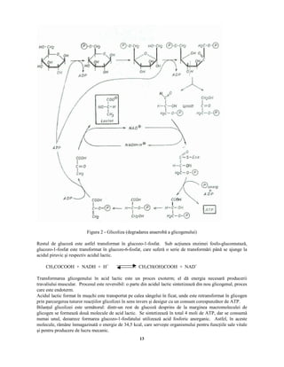 Biochimie | PDF