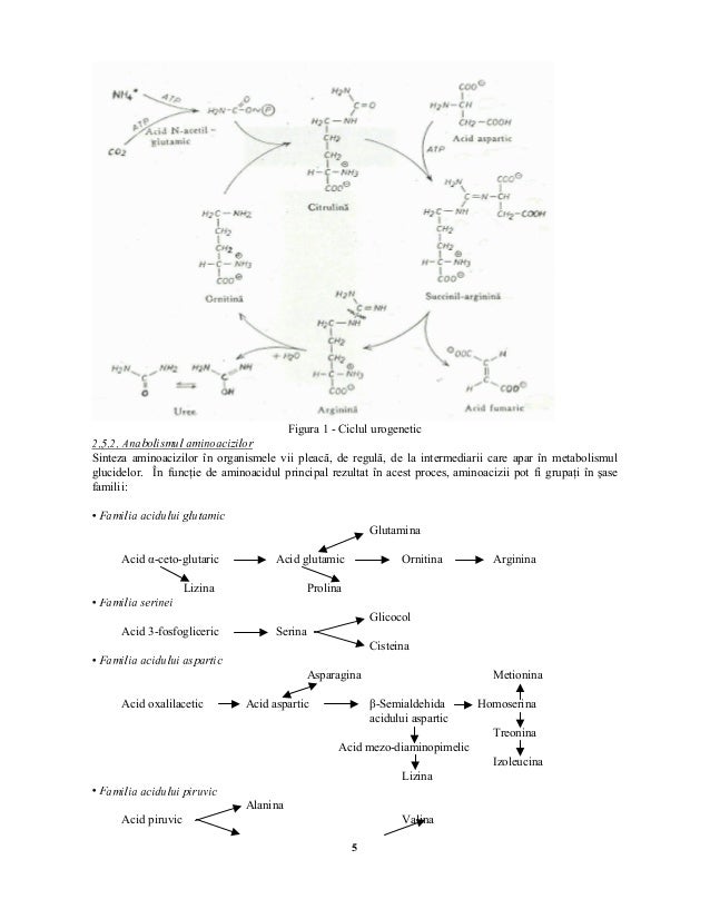 Biochimie