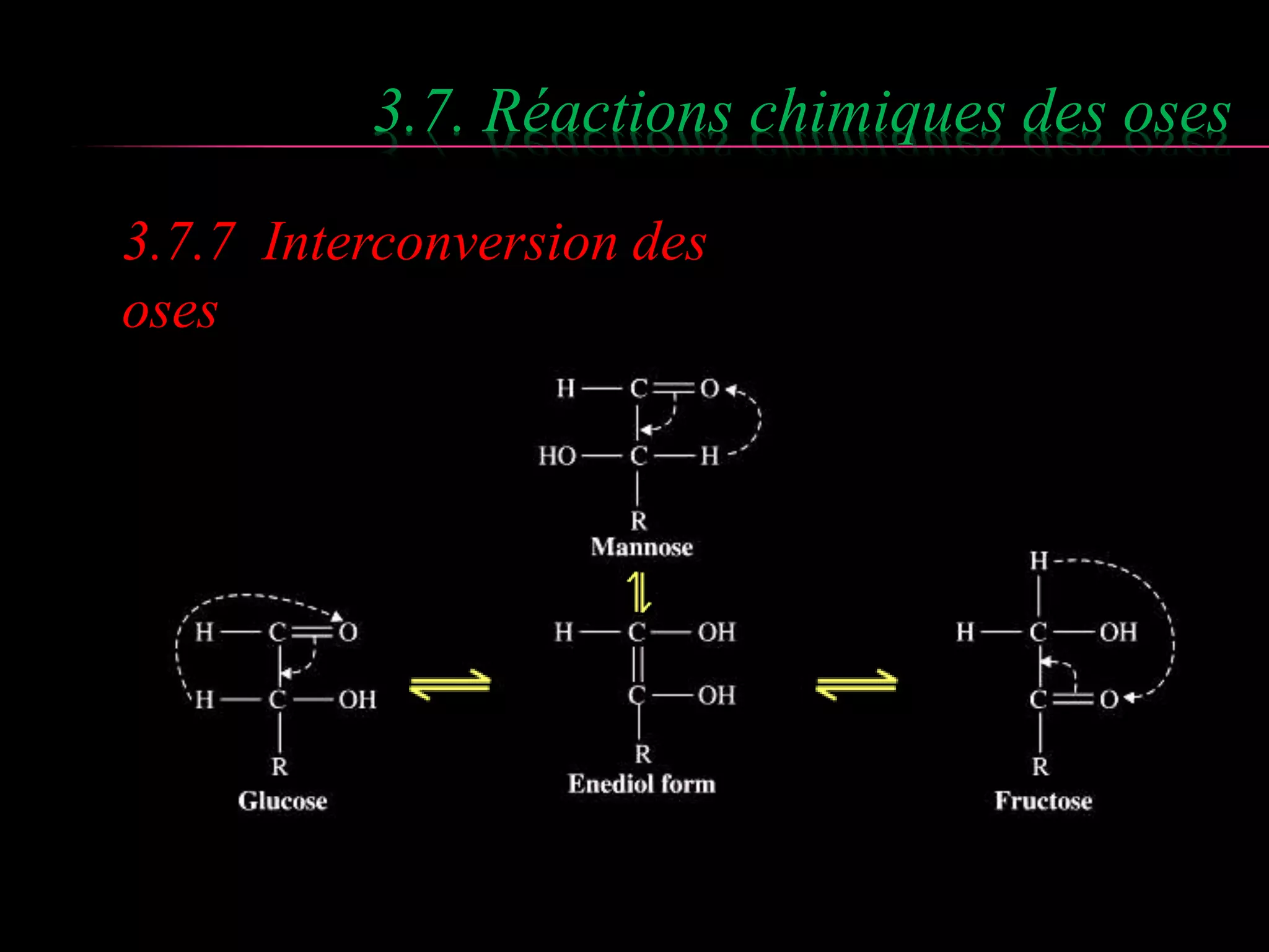 Biochimie des glucides, UMMTO | PPTX